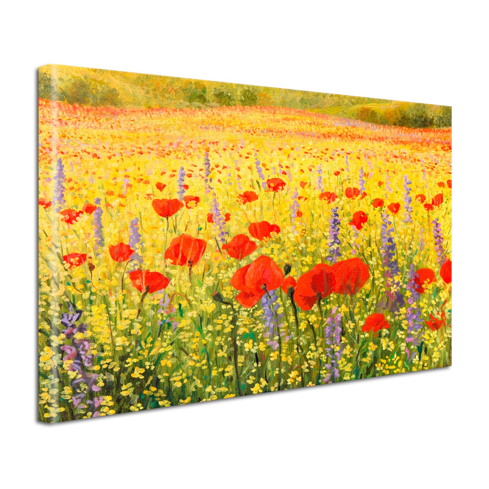 Leinwandbild Gemälde Mohnblumenwiese